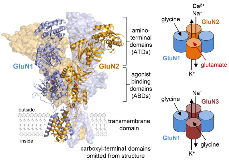 RESEARCH - KASPER HANSEN LAB