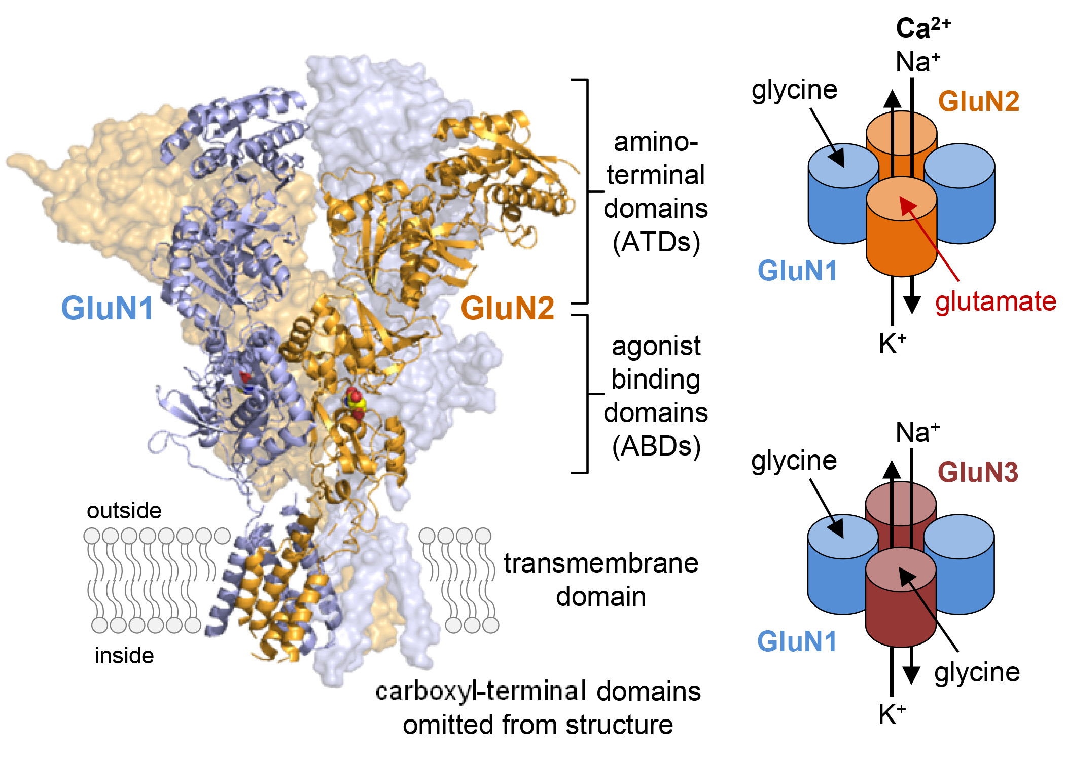 RESEARCH - KASPER HANSEN LAB